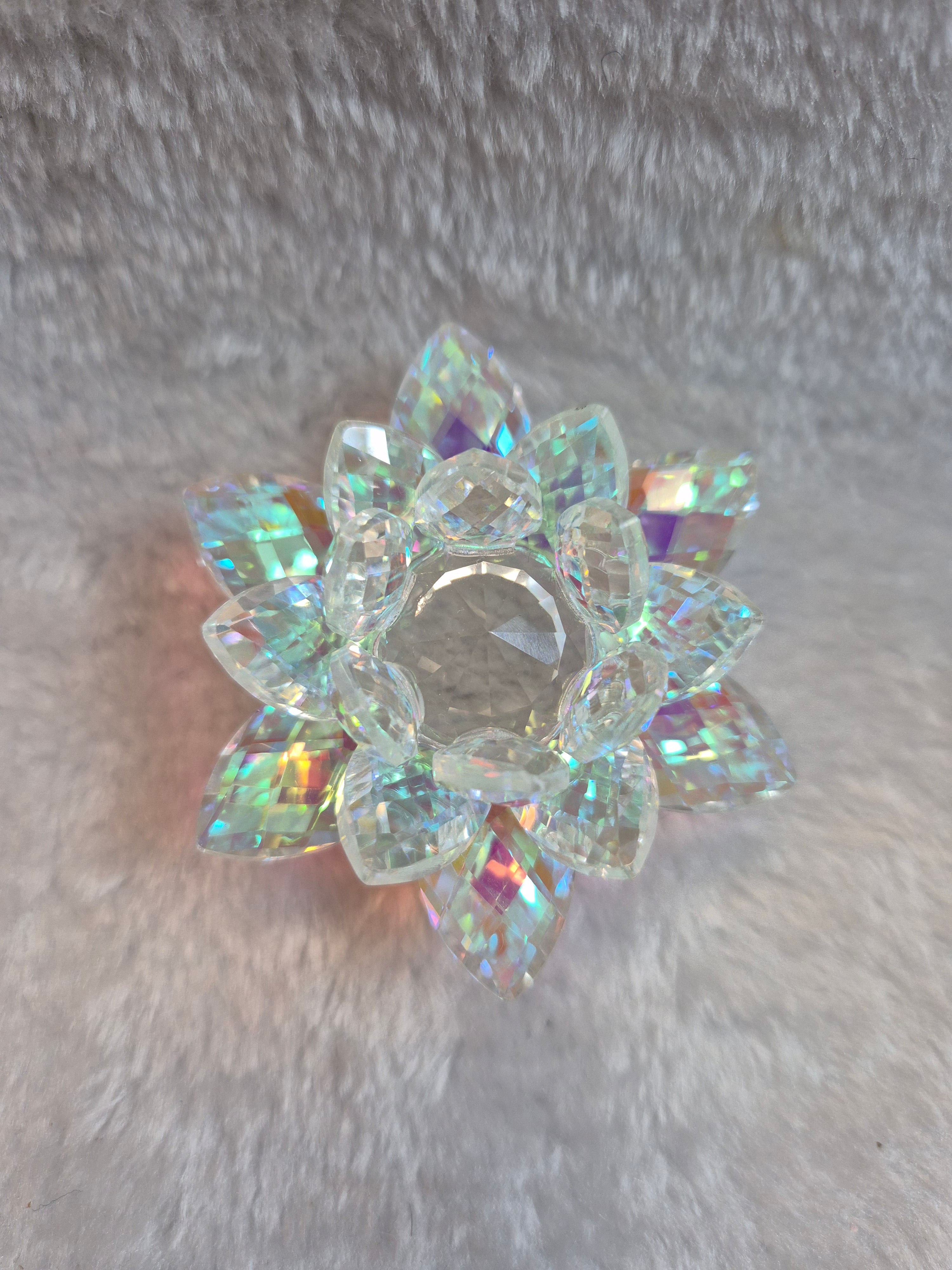 Glass Lotus – Rekkies Orcale Limited